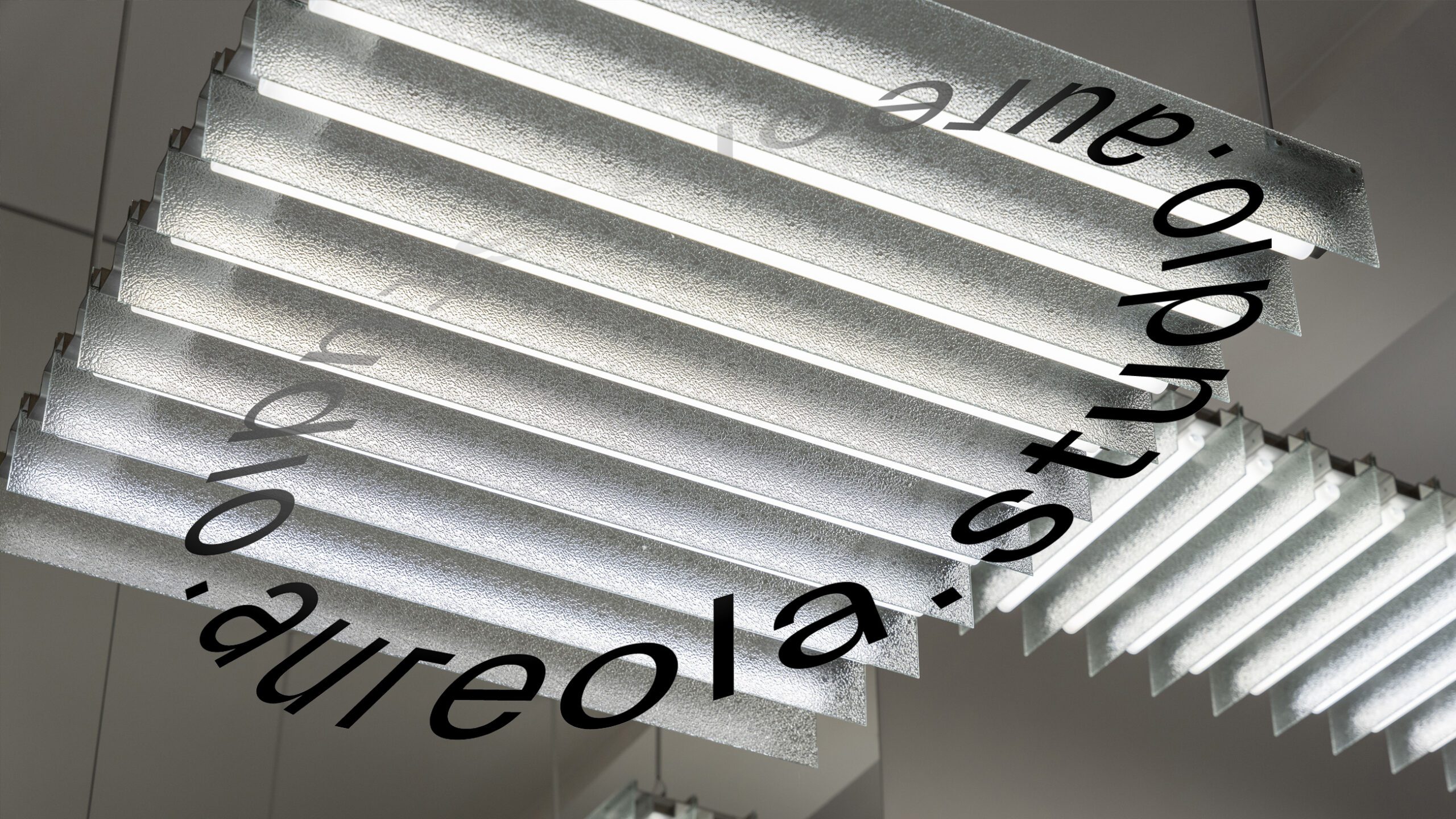 dr Marta Roth - aureola.studio